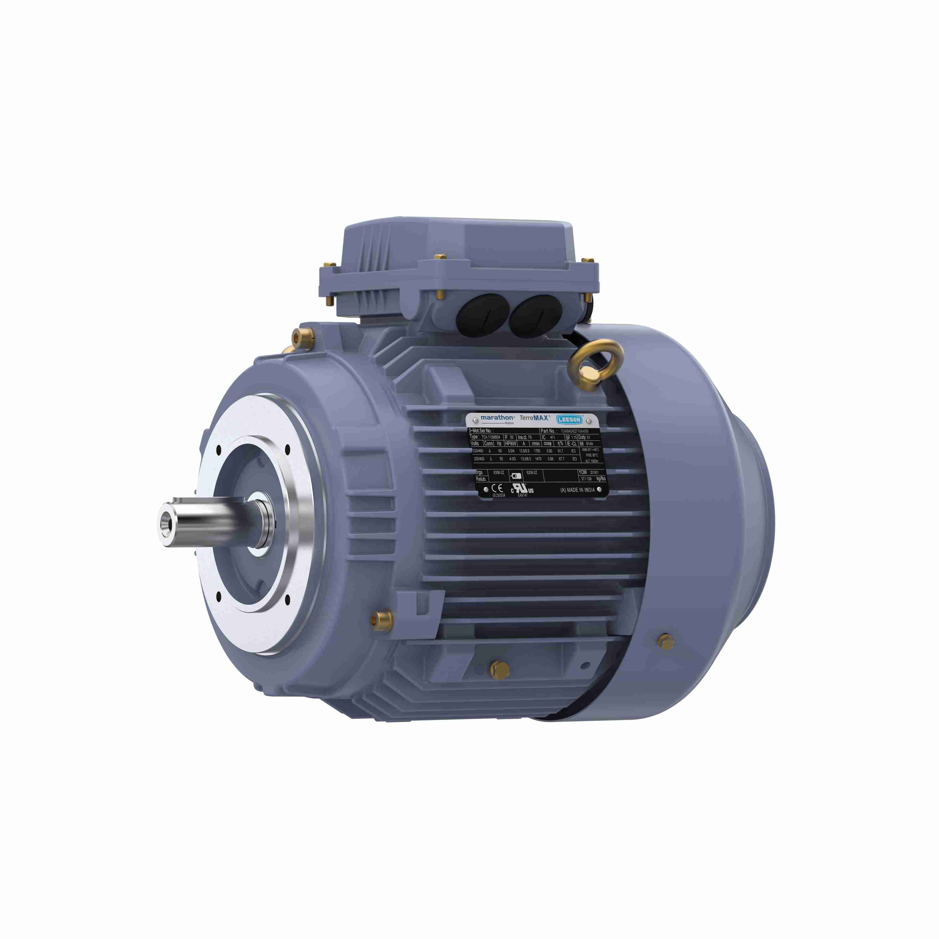 Motor Marathon de hierro fundido, 5,50 HP, 3 Ph, 60 Hz, 230/460 V, 1800 RPM, marco 112M, TEFC ...