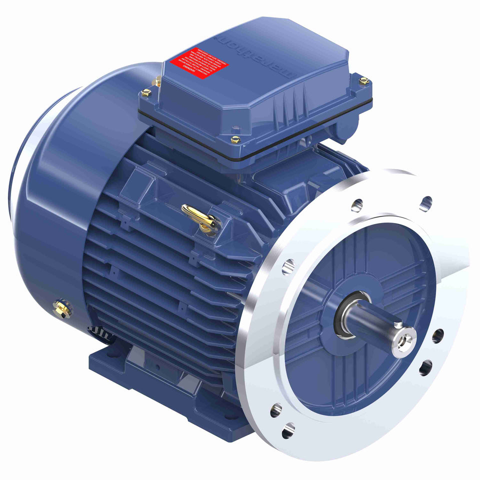 Motor Marathon TerraMAX® de hierro fundido, 3 HP, 3 Ph, 60 Hz, 230/460 ...